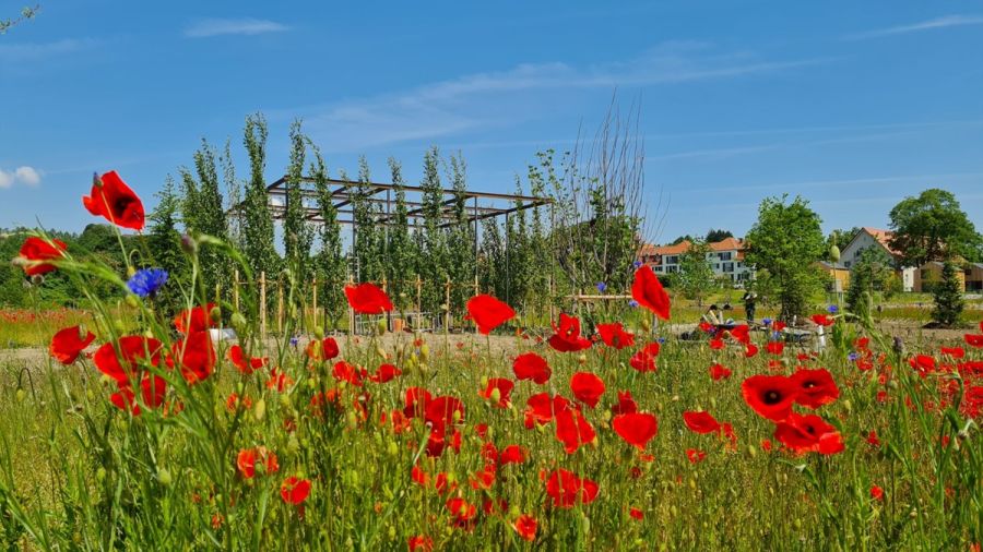 Die schönsten Garten-Ausstellungen Deutschlands - Mein Eigenheim